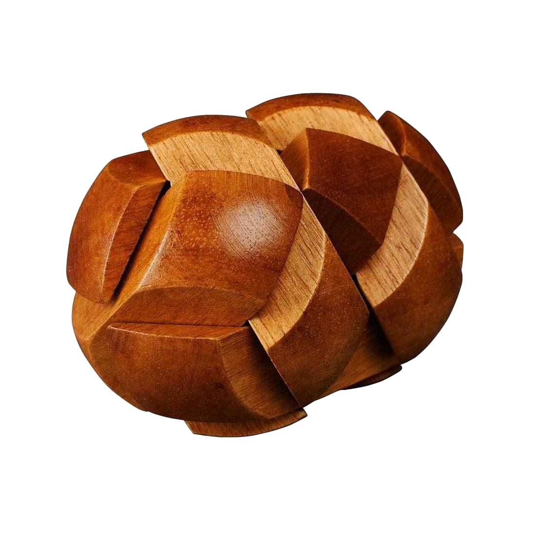 Great Minds: Darwin's Dinosaur Egg of Evolution – Games